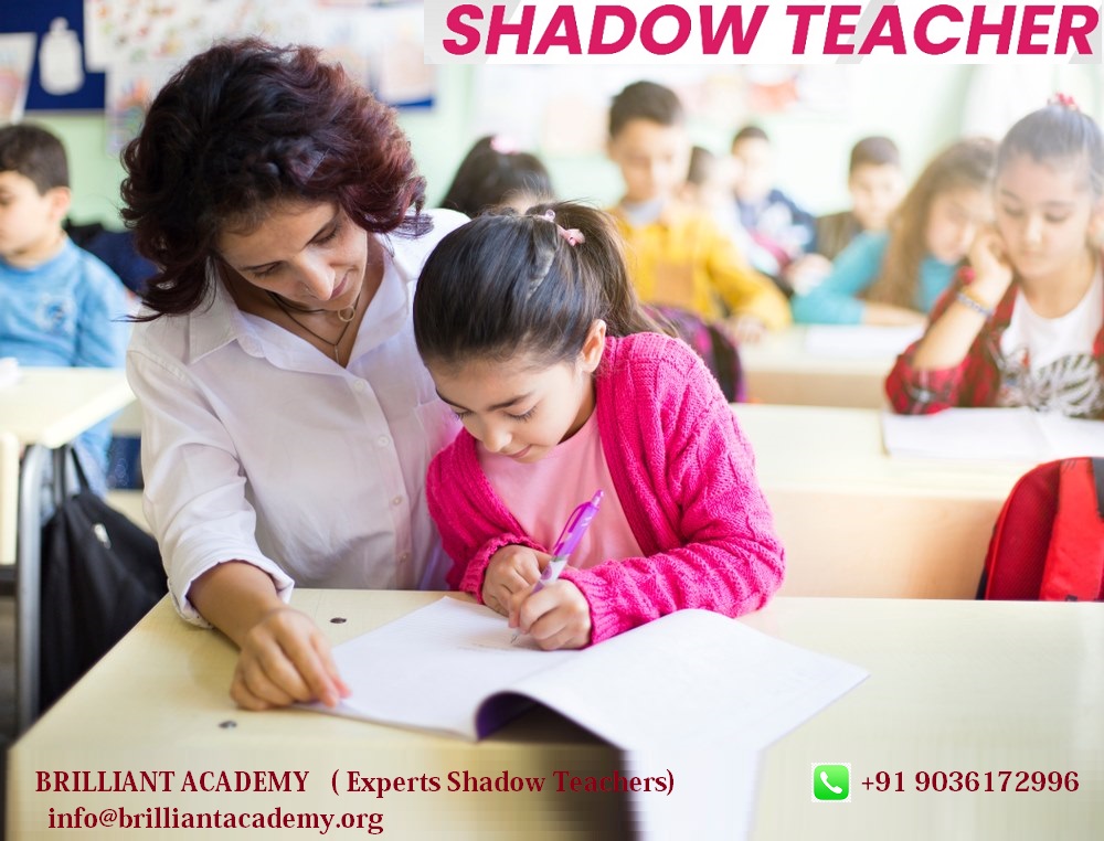 Shadow Teachers in Chennai Near Me - Brilliant